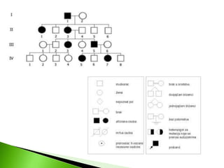 Humana genetika rodoslovno stablo | PPSX