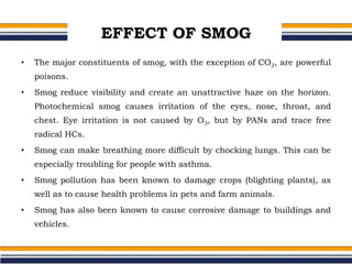 Smog | PPTX