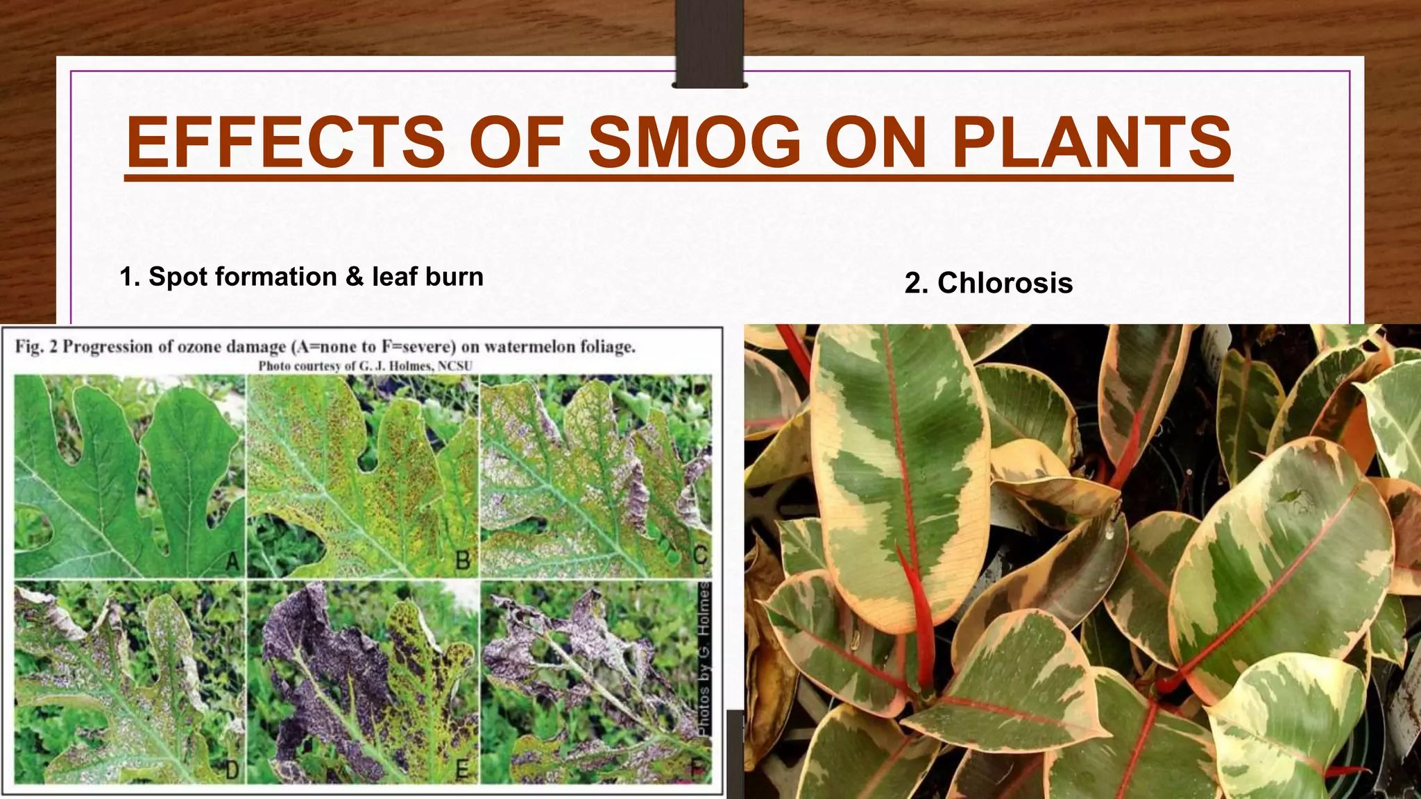 Smog || Types, Causes, Effects, Solutions & Recent Technologies to ...