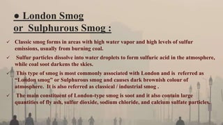 Smog by Nandita Chakraborty | PPTX