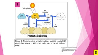Smog Sarah 51.pptx institute of botany, PU | PPTX