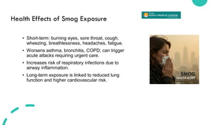 Smog Season: Causes, Effects, and What You Can Do.pdf