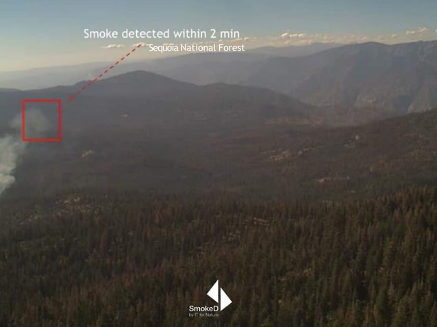 Artificial Intelligence Detects Wildfires Ppt