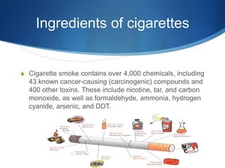 Anti-Smoking 10 03 G4 | PPTX
