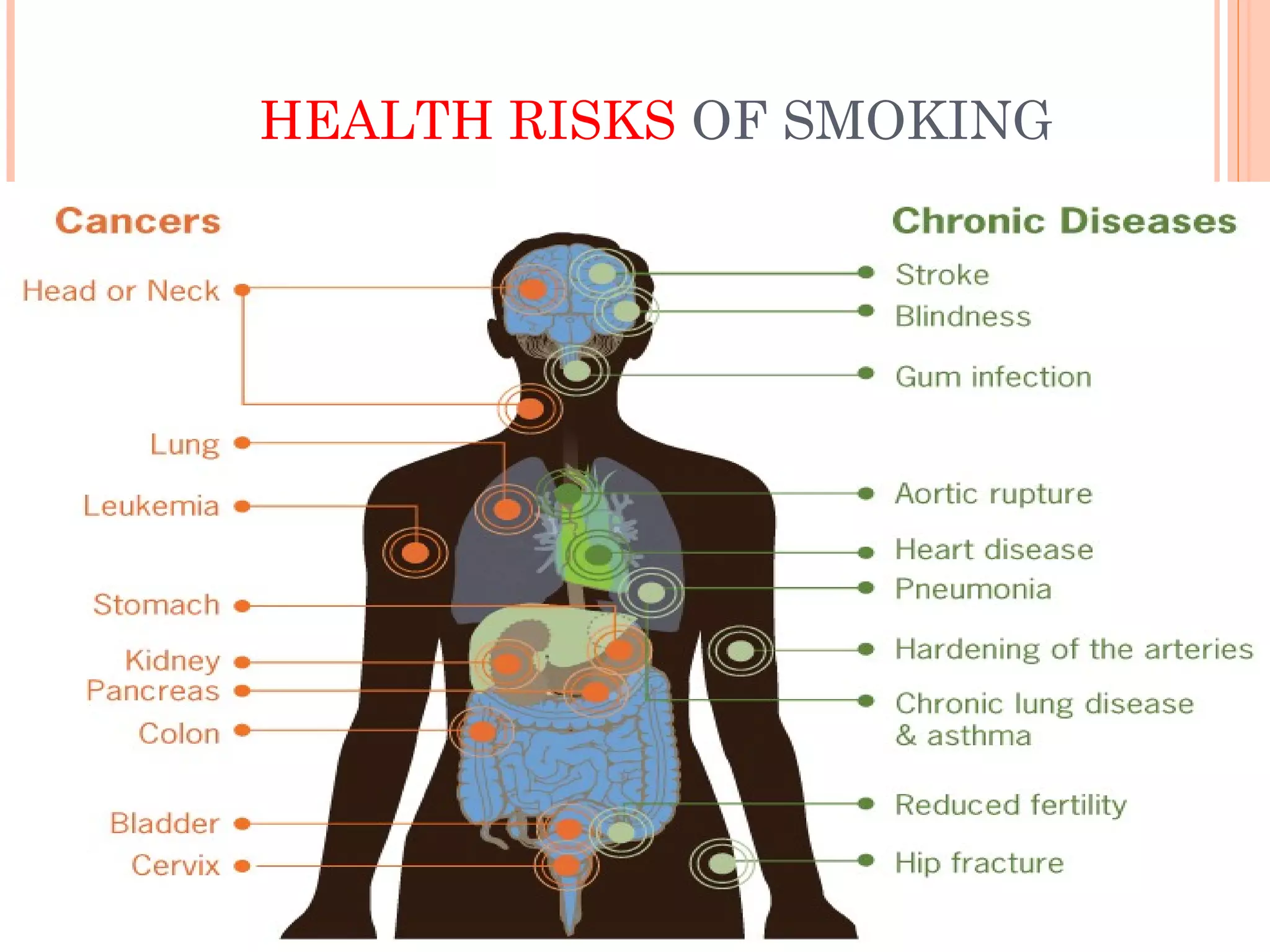 Smoking and its health risks | PPT