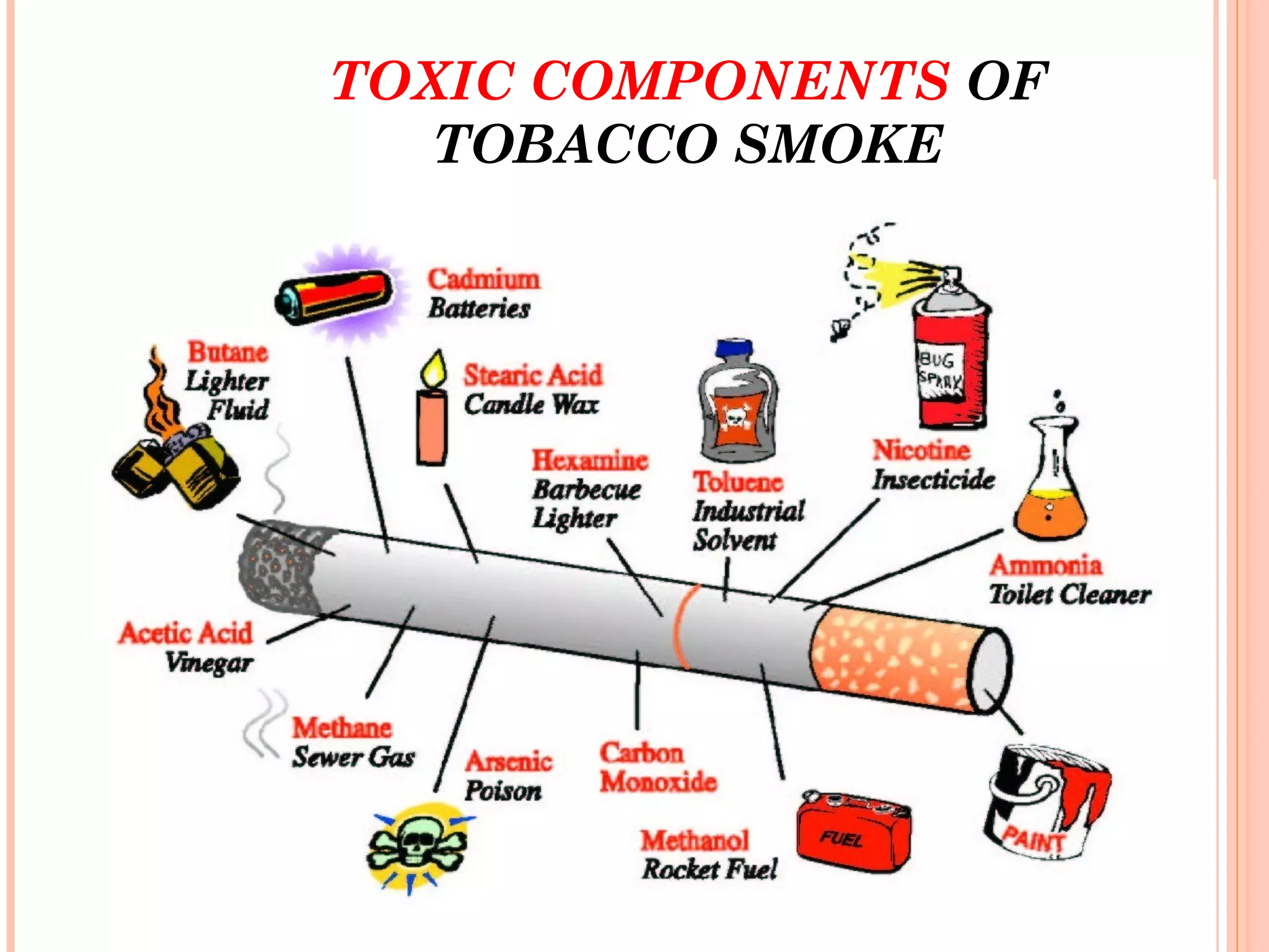 Smoking and its health risks | PPT