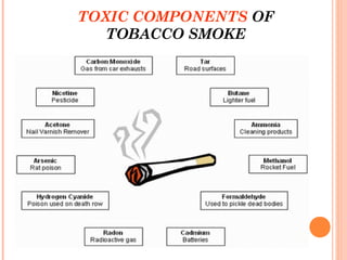 Smoking and its health risks | PPT