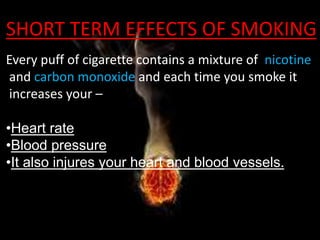Smoking and its ill effects | PPTX