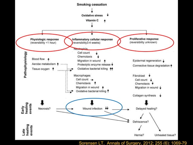 Smoking cessation for residents | PPT | Illegal Drugs, Tobacco ...