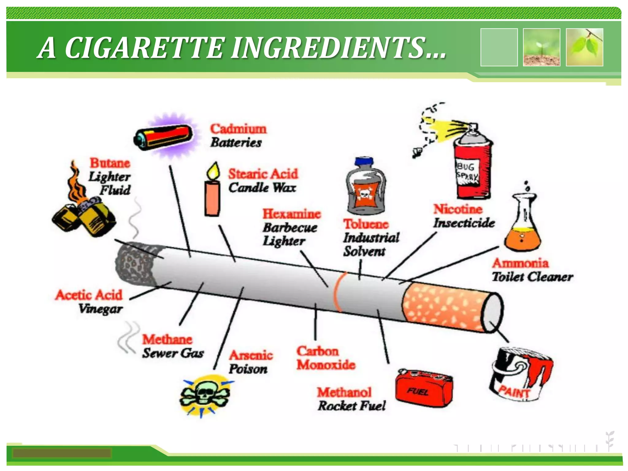 Smoking dangers | PPTX