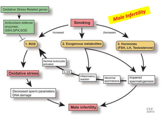 SMOKING & FEMALE & MALE FERTILITY DR SHARDA JAIN | PPT