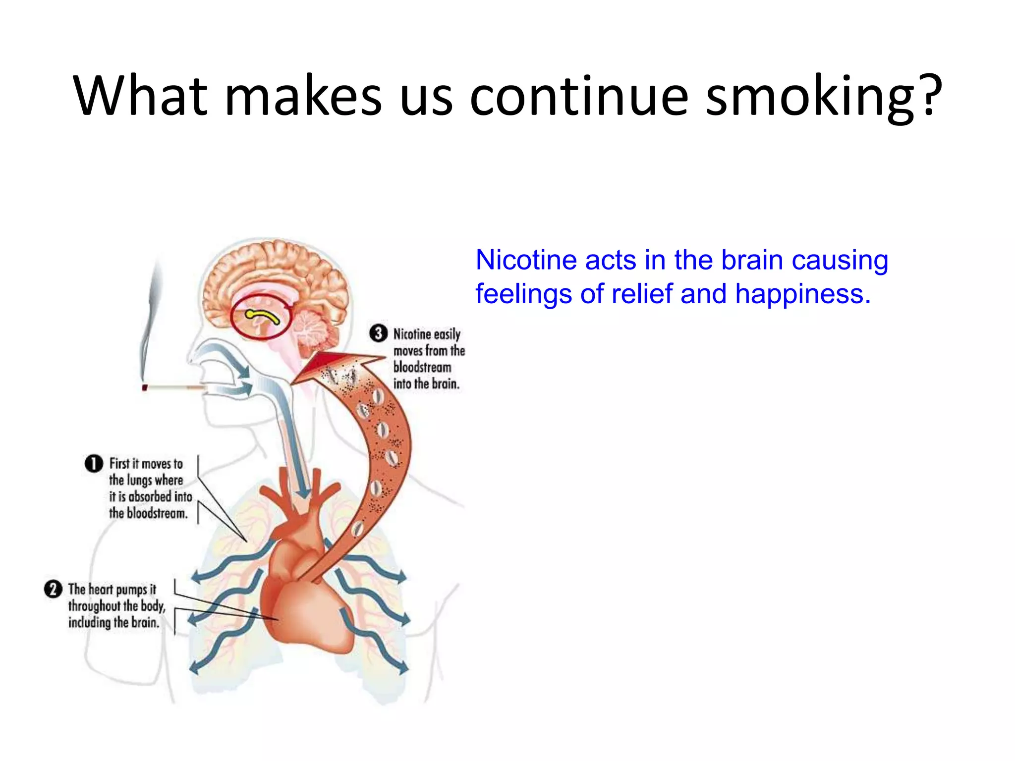 Smoking ppt | PPT