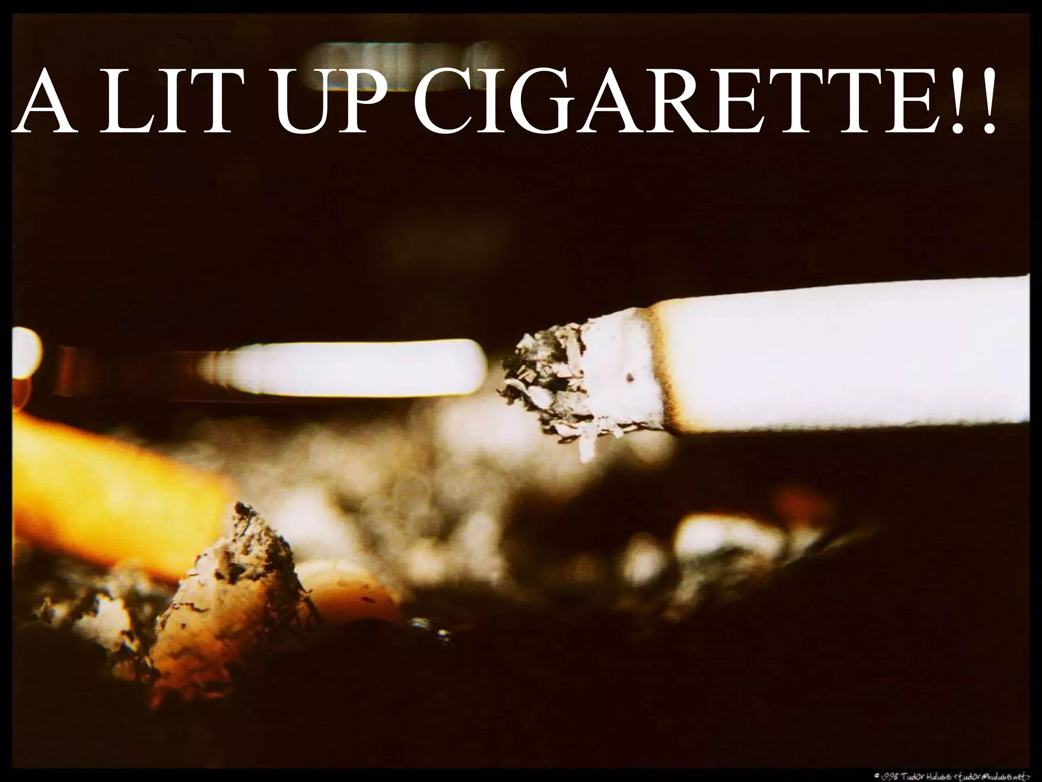 smoking ppt.ppt