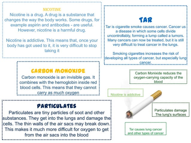 Smoking stinks | PPT