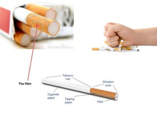 Smoking stinks | PPT