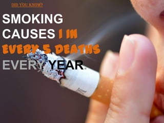 Smoking stinks | PPT