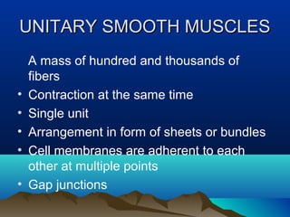 Smooh muscles | PPT