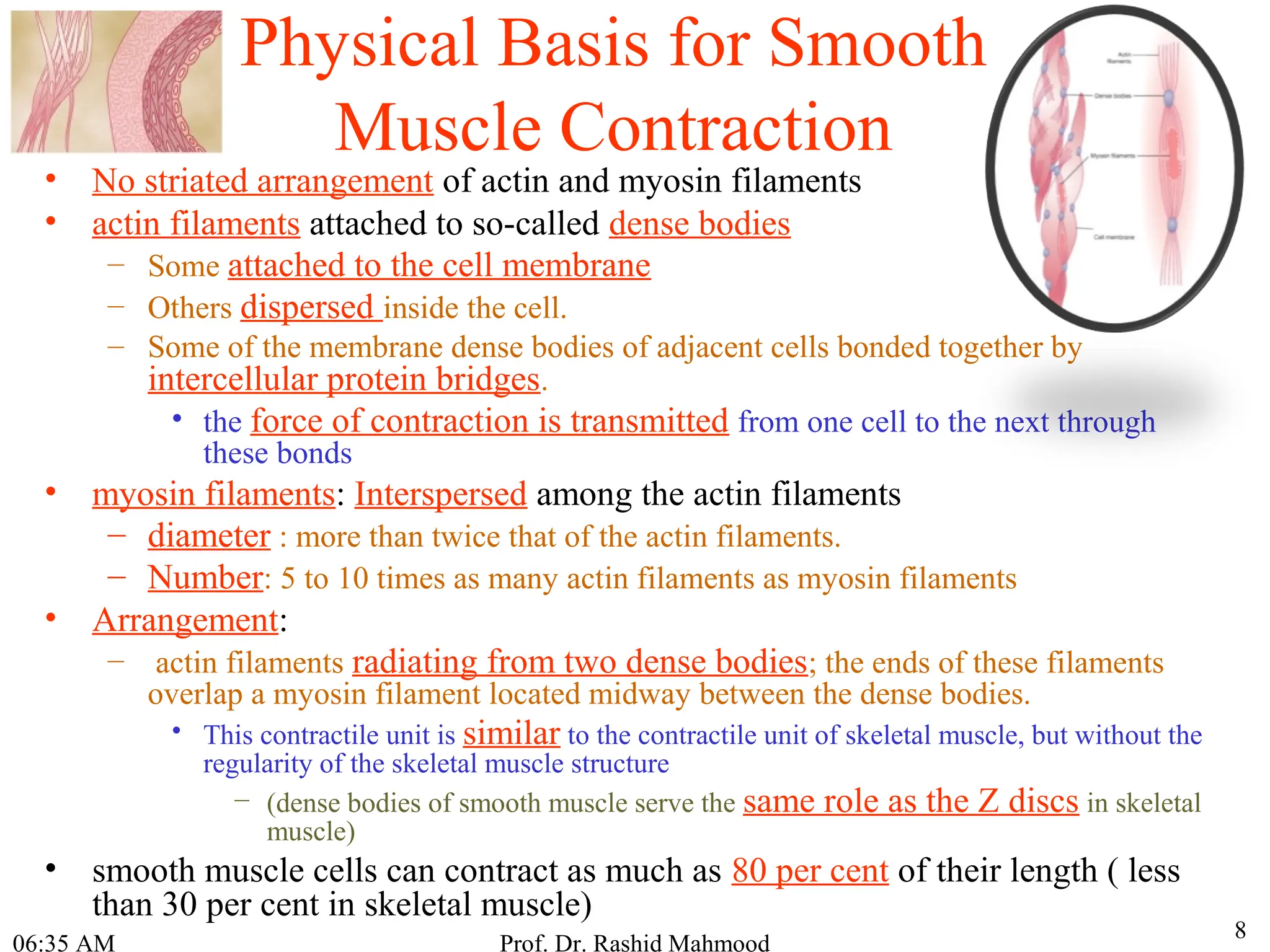 smooth muscle is one type of muscle controlled by autonomic nerve .pdf