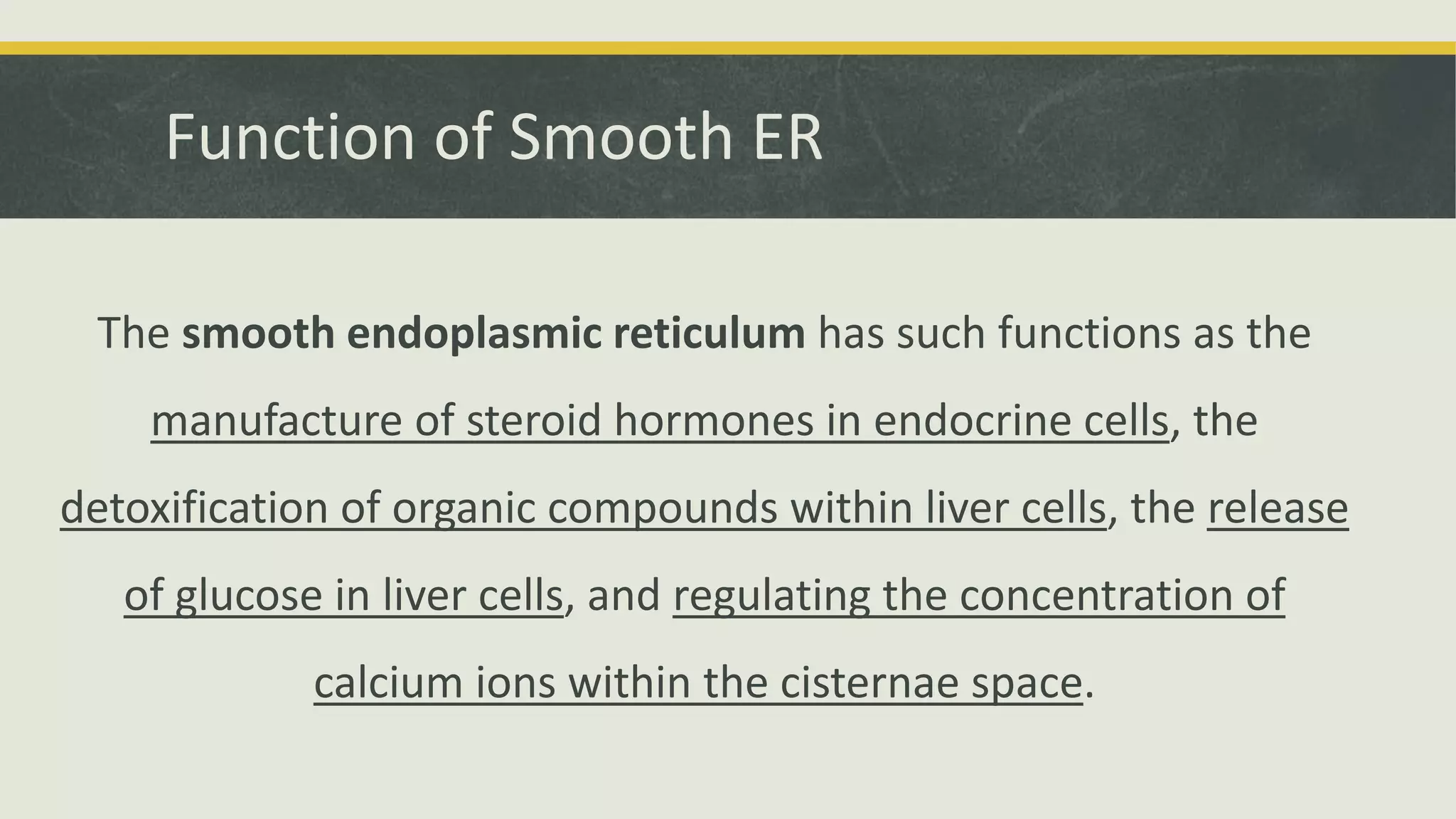 Smooth Endoplasmic Reticulum | PPTX