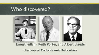 Smooth Endoplasmic Reticulum | PPTX