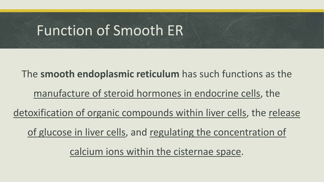 Smooth Endoplasmic Reticulum | PPTX | Endocrine and Metabolic Diseases ...