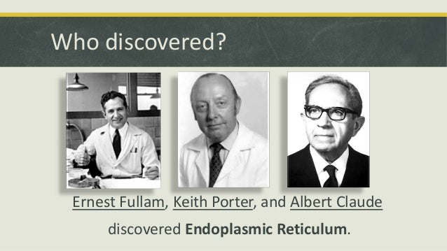 Smooth Endoplasmic Reticulum