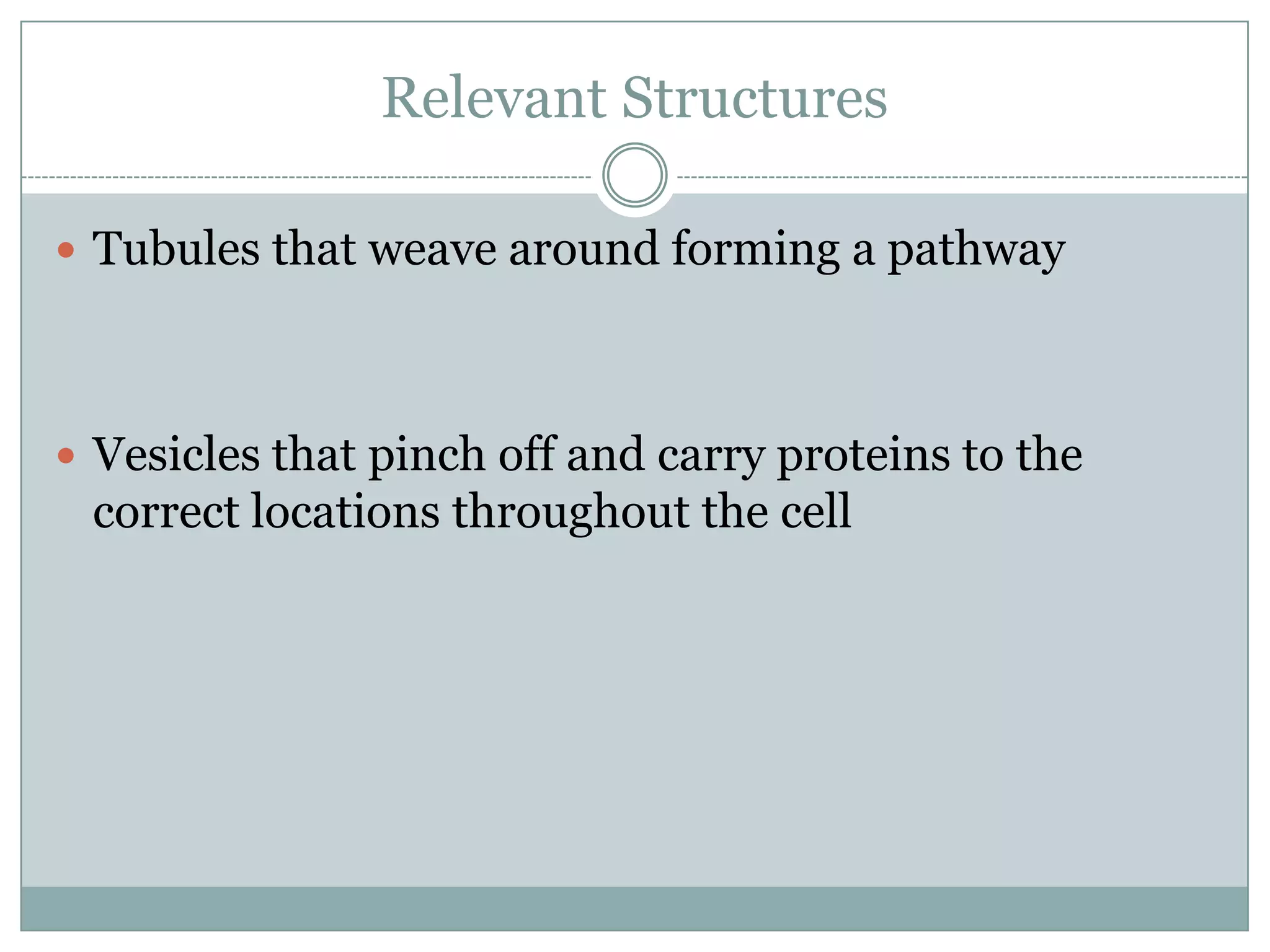 Smooth endoplasmic reticulum | PPTX