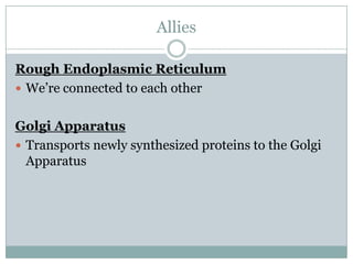 Smooth endoplasmic reticulum | PPTX