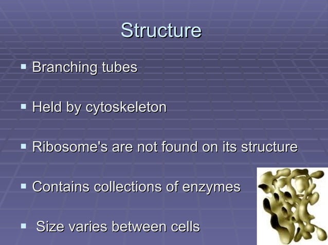Smooth endoplasmic reticulum | PPT