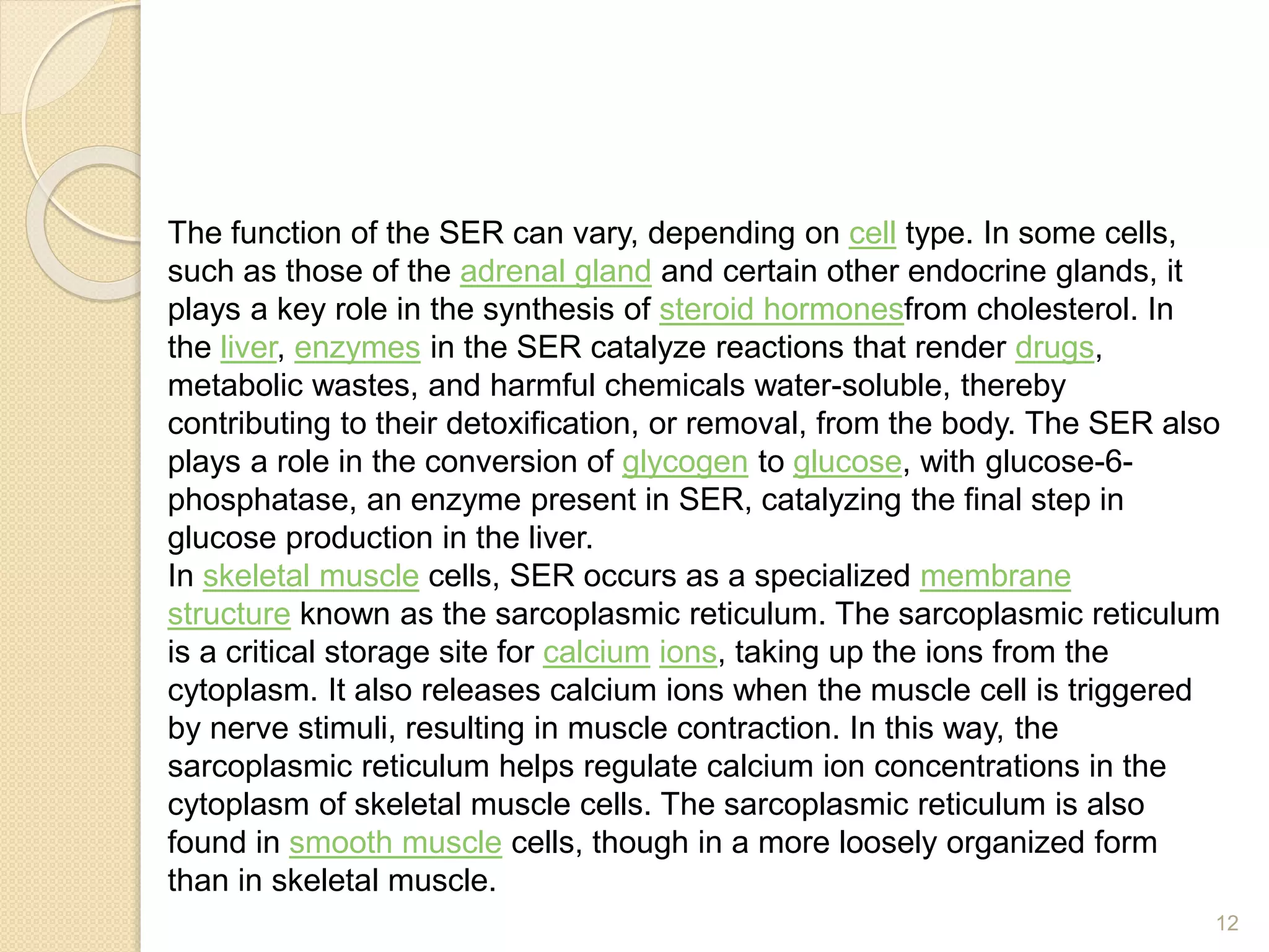 Smooth endoplasmic reticulum & vacuoles | PPTX
