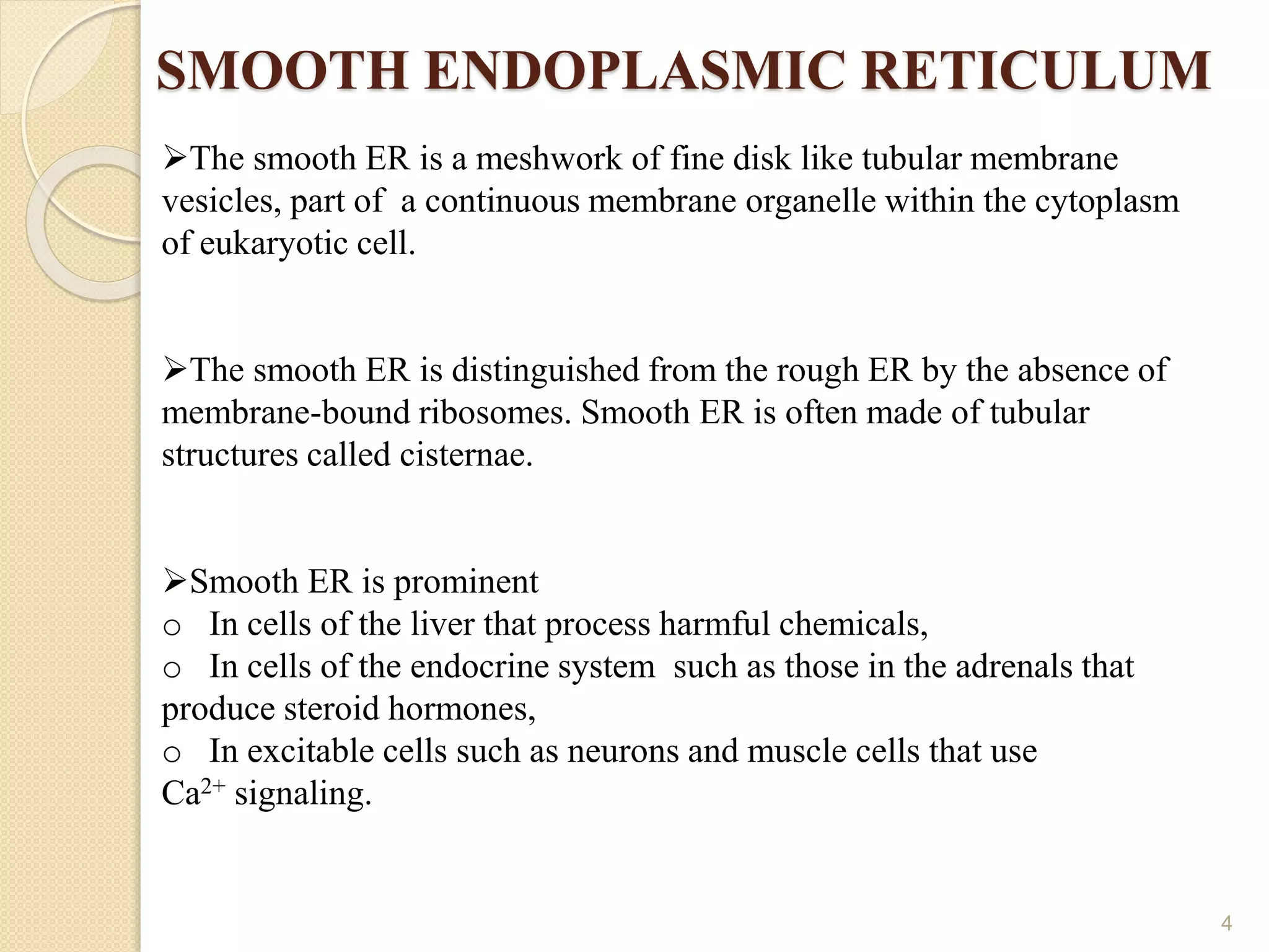 Smooth endoplasmic reticulum & vacuoles | PPTX