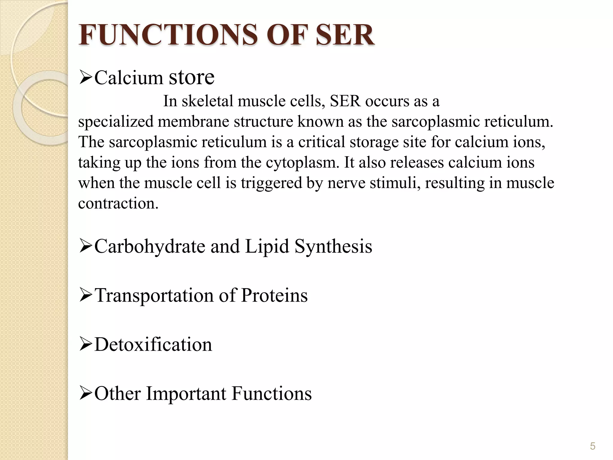 Smooth endoplasmic reticulum & vacuoles | PPTX