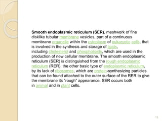 Smooth endoplasmic reticulum & vacuoles | PPTX