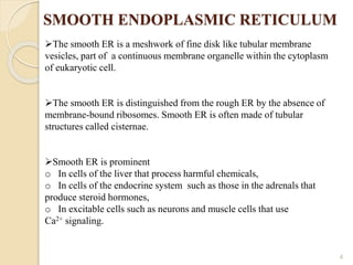 Smooth endoplasmic reticulum & vacuoles | PPTX
