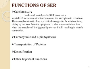 Smooth endoplasmic reticulum & vacuoles | PPTX