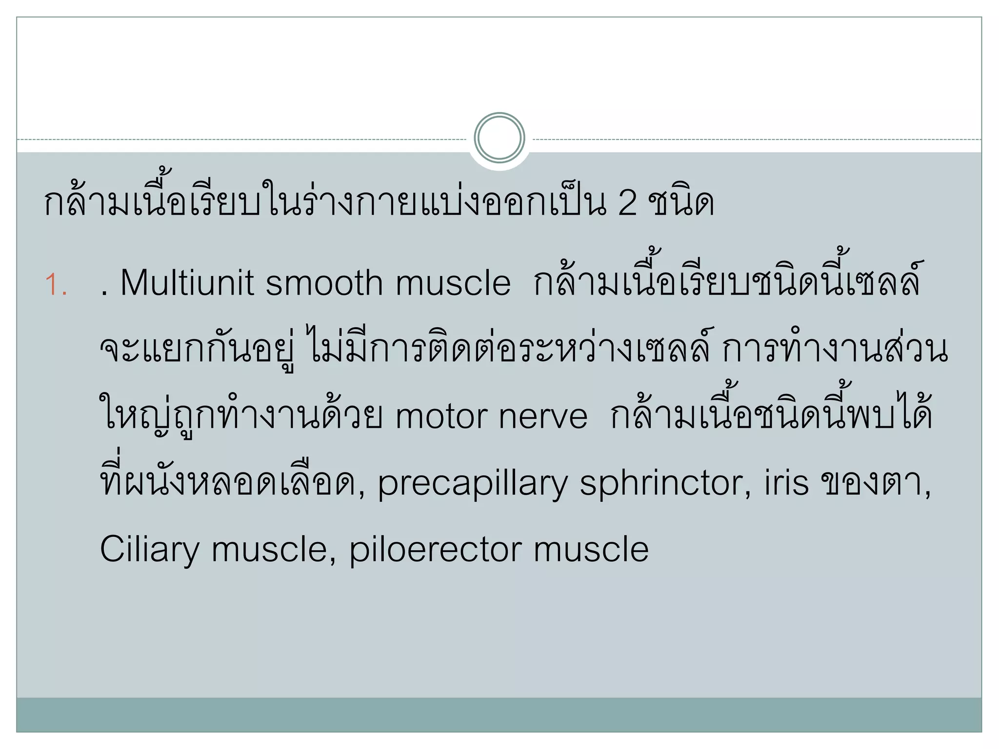 Smooth muscle | PPTX