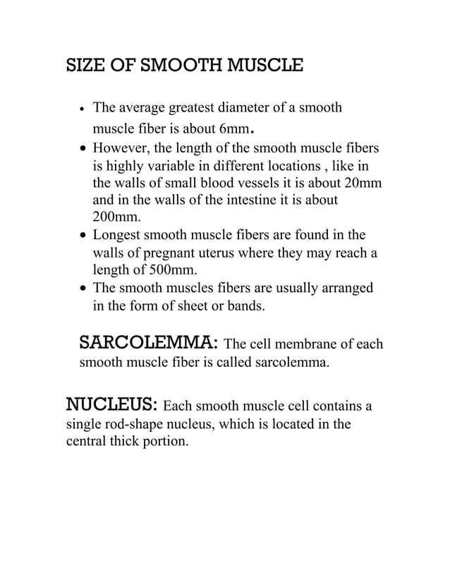 Smooth muscle by quratulain mughal | PDF
