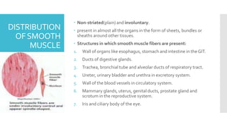 Smooth Muscle Organs
