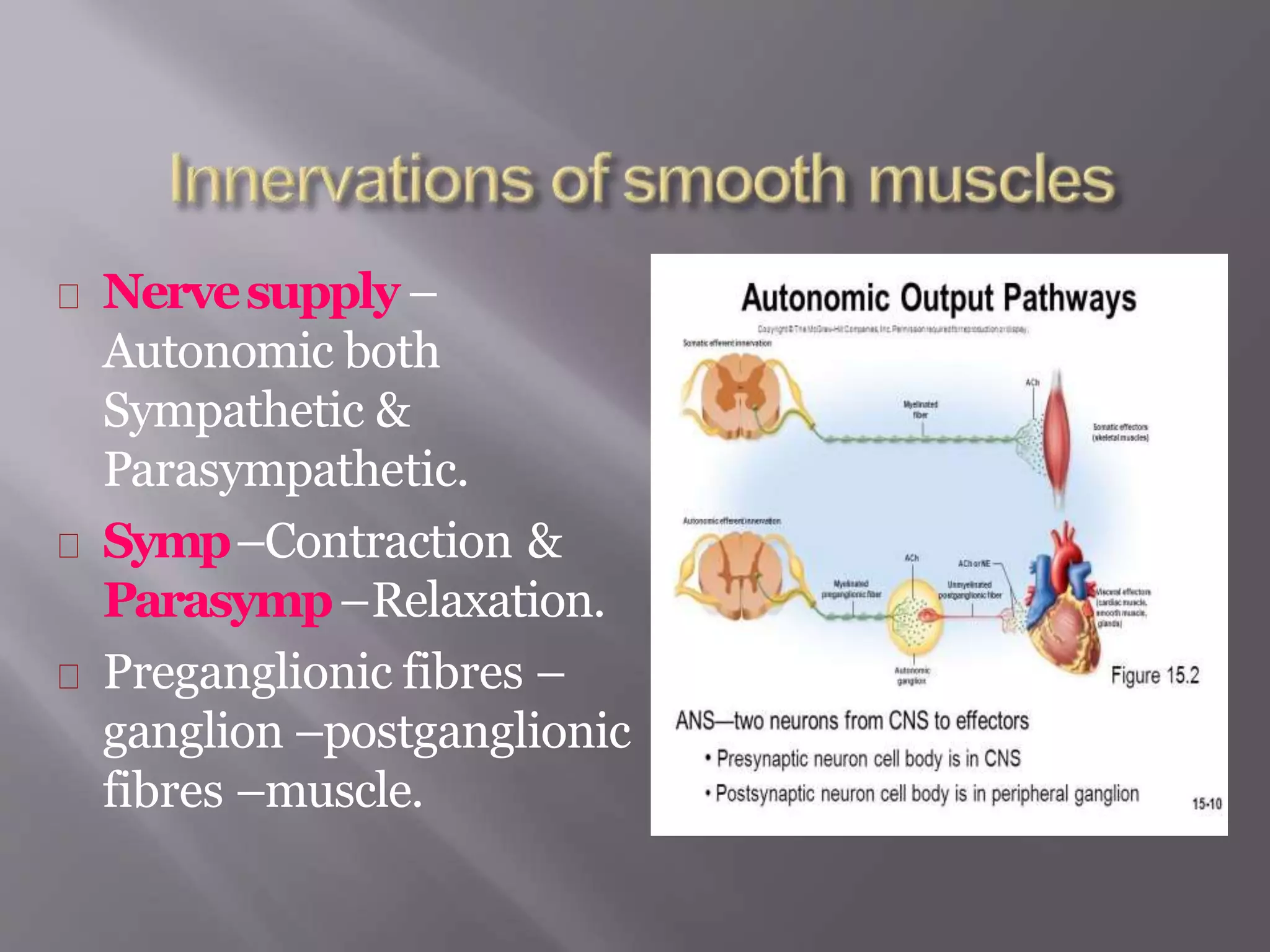 Smooth Muscle.pptx