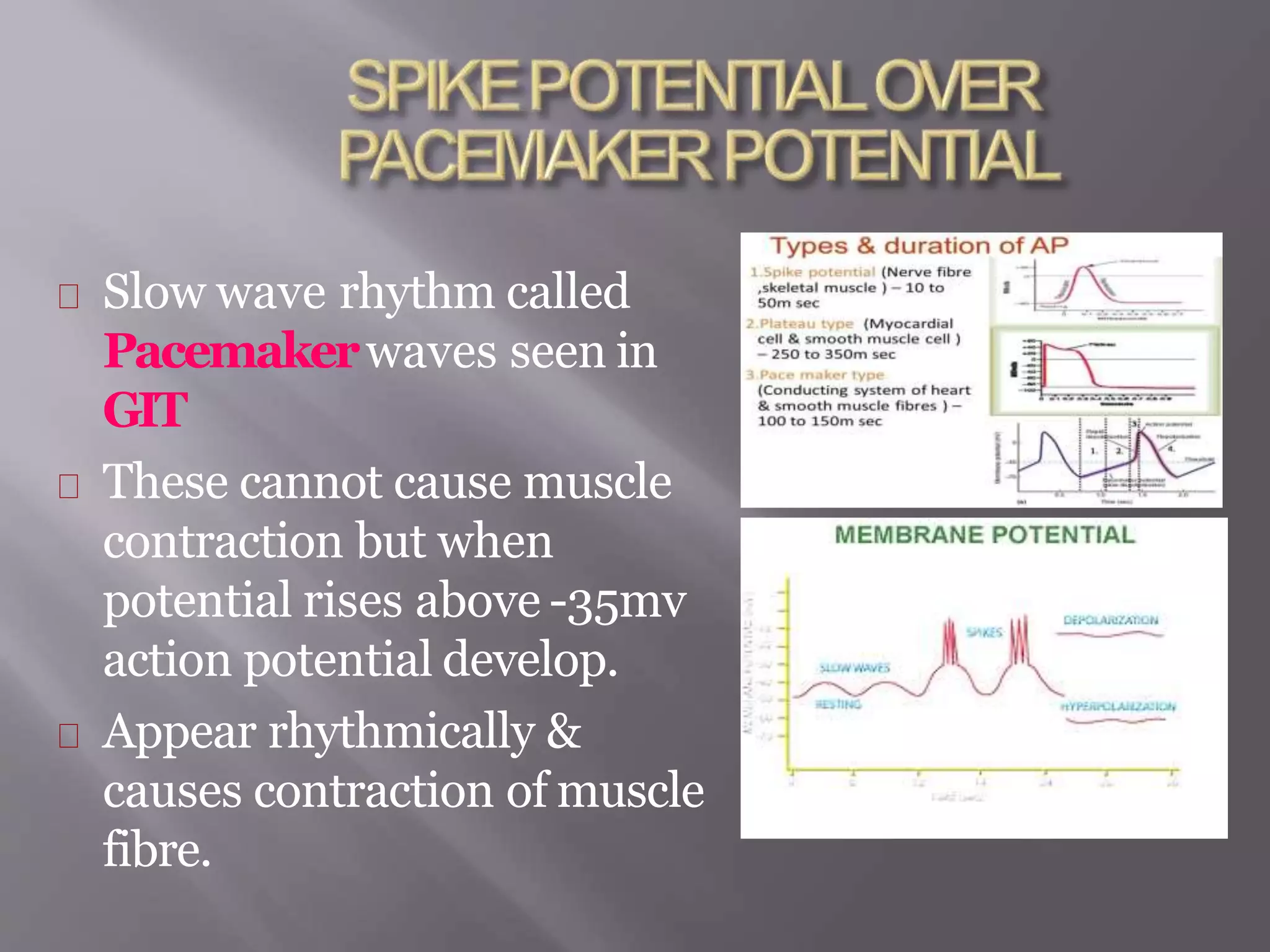 Smooth Muscle.pptx