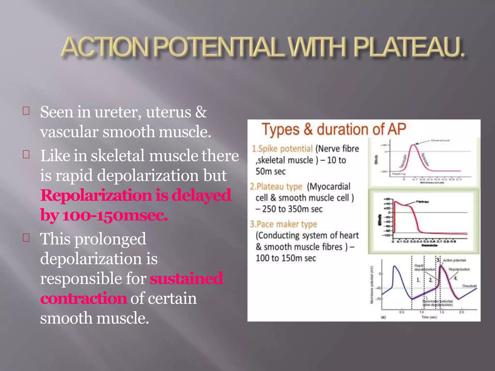 Smooth Muscle.pptx