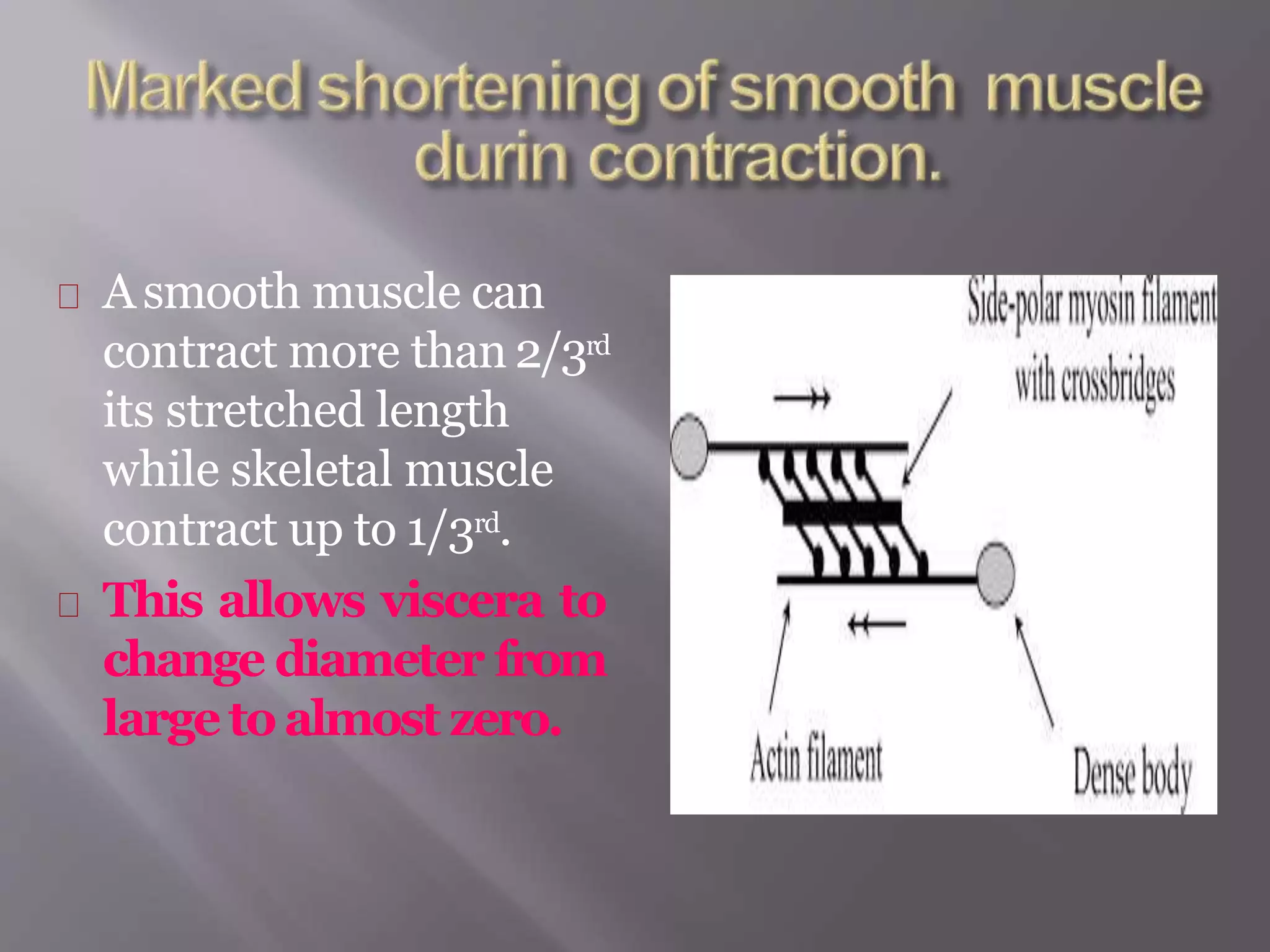 Smooth Muscle.pptx