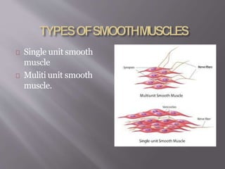 Smooth Muscle.pptx
