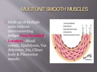 Smooth Muscle.pptx