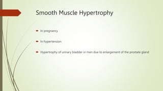 Smooth muscle.pptx