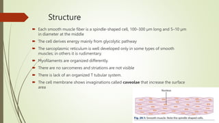 Smooth muscle.pptx