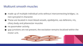 Physiology of SMOOTH MUSCLE of humans.pptx