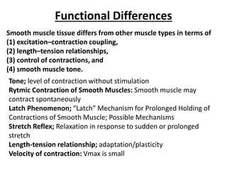Smooth muscle bgt-2019 | PDF