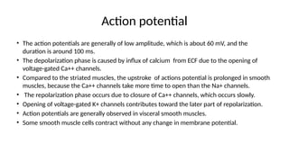 Smooth Muscles and Cardiac Muscles.pptxx | PPTX