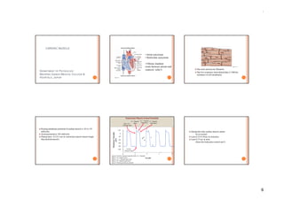 Smooth muscle and Cardiac Muscle [Compatibility Mode].pdf
